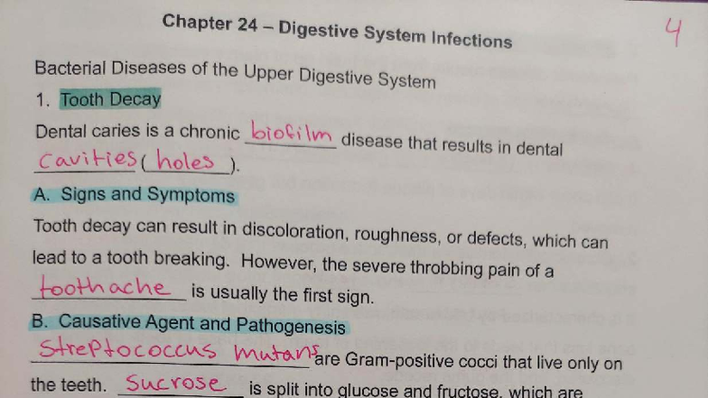Chapter 24: Digestive System Infections - Bacterial & Viral Diseases ...