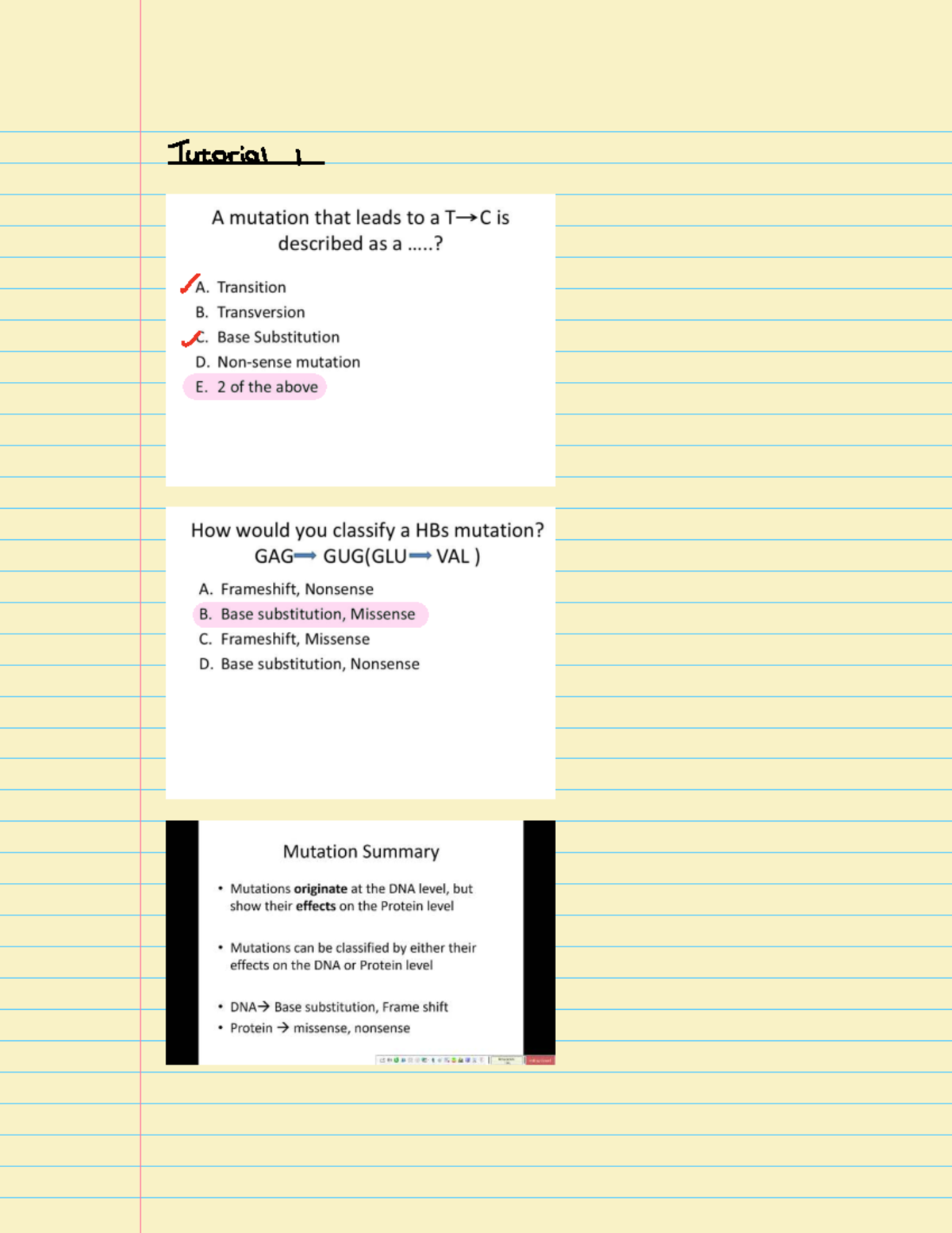 Tutorial 1: Understanding Mutations and Their Classifications - Studocu