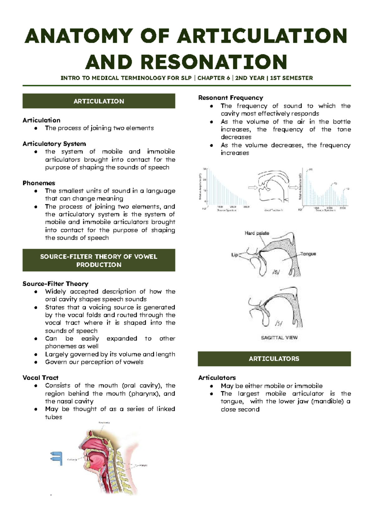 SLP 1st Sem - Anatomy of Articulation & Resonance Notes - Studocu