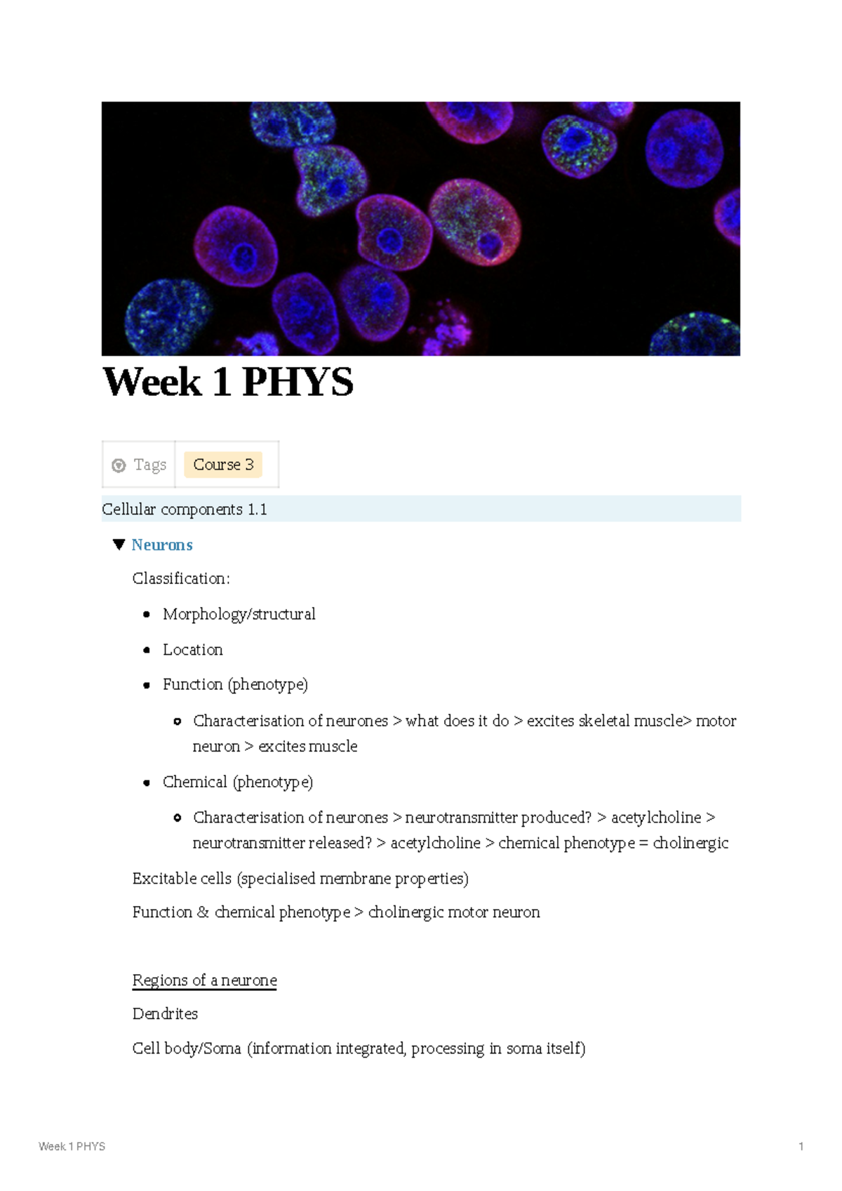 Week 1 Phys Lecture Notes Week 1 Week 1 Phys Tags Course 3 Cellular