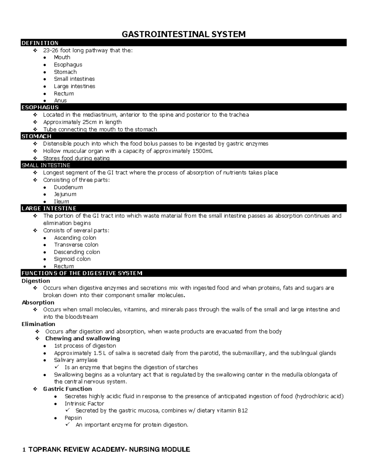 Gastrointestinal System Overview: Key Concepts & Functions for Nursing ...