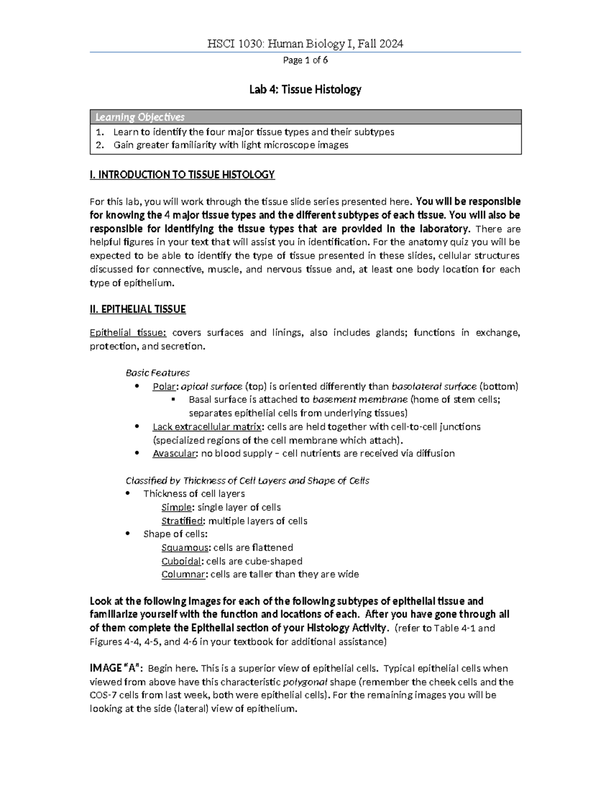 4 Histology-Guide-2 - histology lab guide - Page 1 of 6 Lab 4: Tissue ...