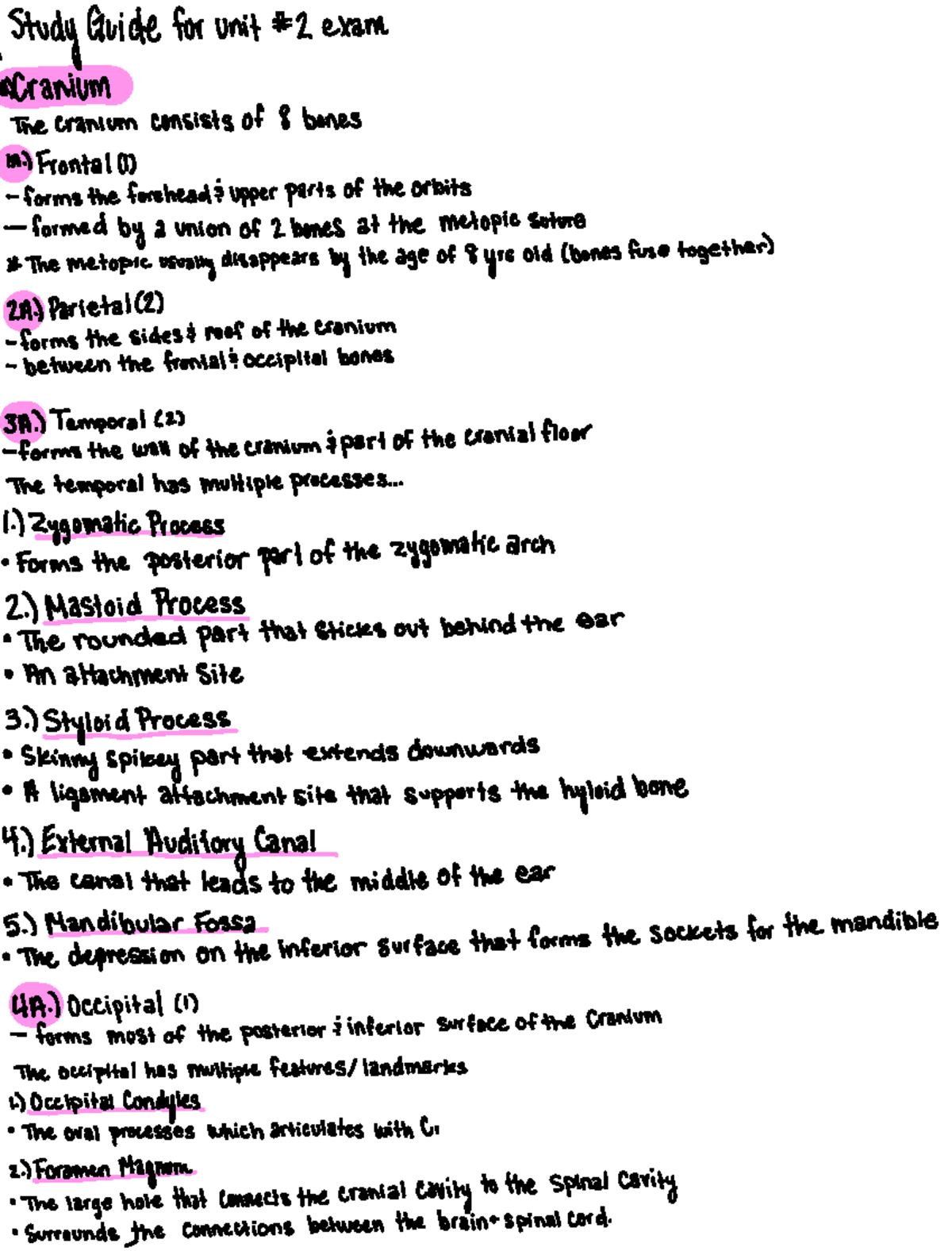 Unit 2 Exam Study Guide: Cranium and Facial Bones Overview - tudy ...