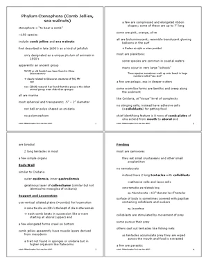 BFP ORGANIZATIONAL CHART AND FUNCTION - ACTIVITY: ORGANIZATIONAL CHART ...