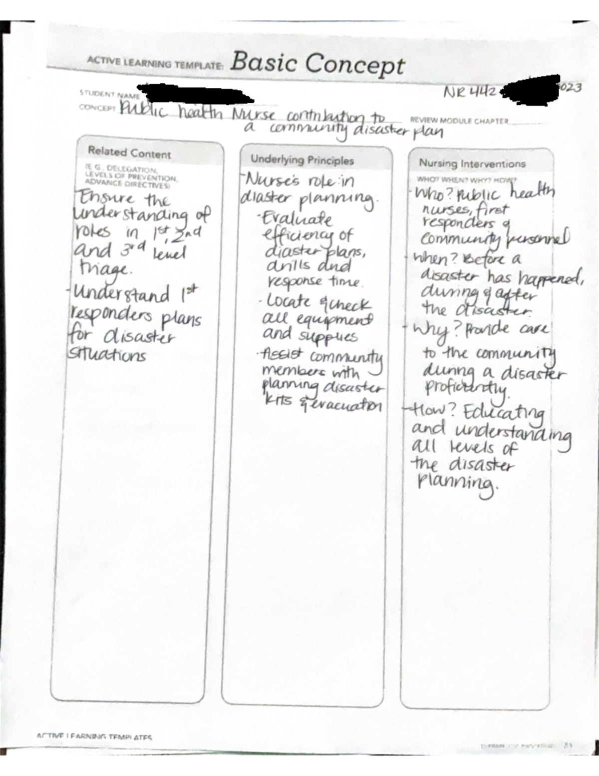 Public Health Nurse Role in Community Disaster Planning (NURS 101 ...