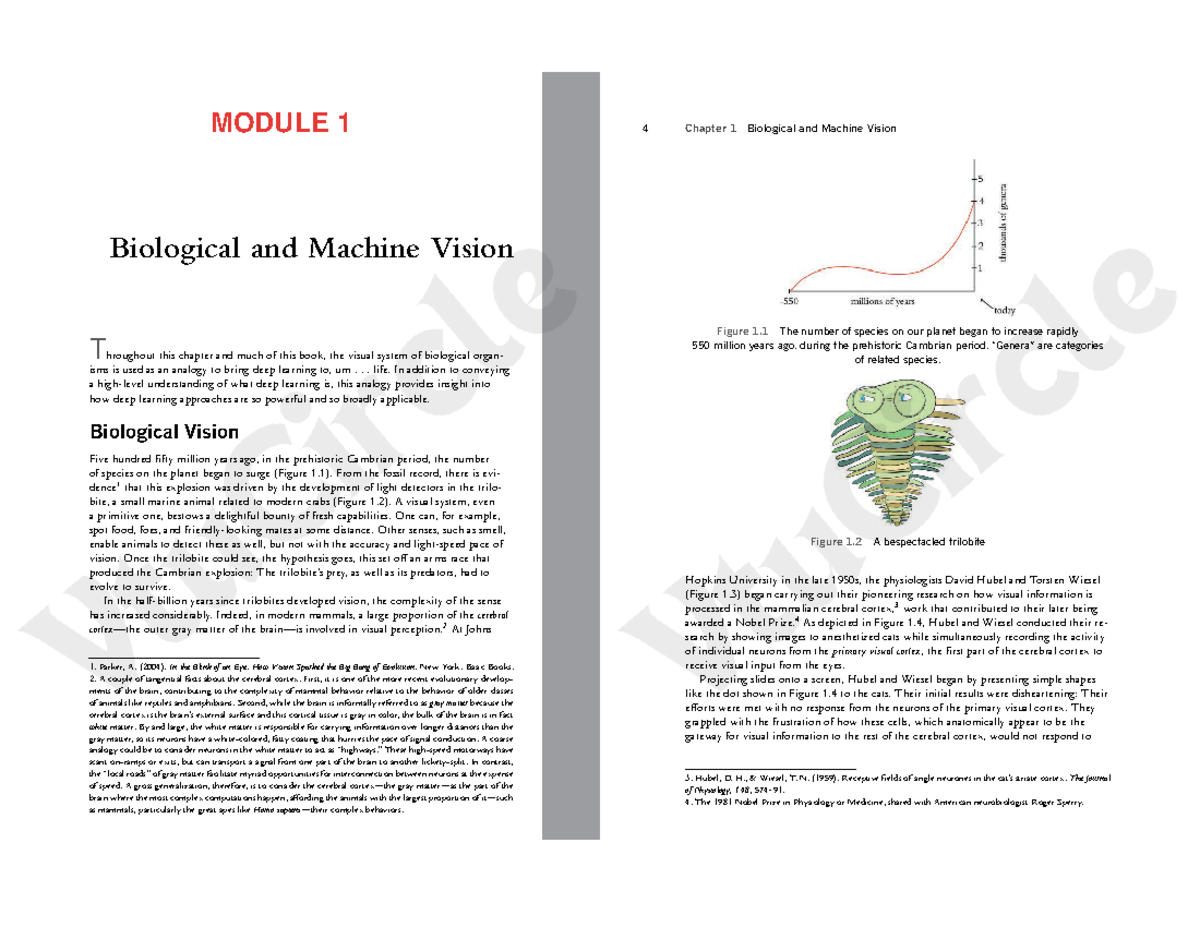 Dl1 - MODULE 1 Chapter 1: Biological and Machine Vision Insights - Studocu