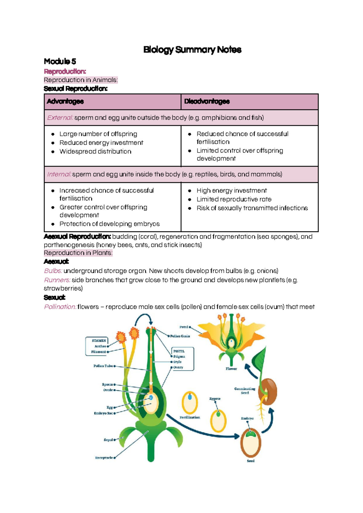 Biology HSC Summary Notes: Module 5 Reproduction and Genetics Overview ...