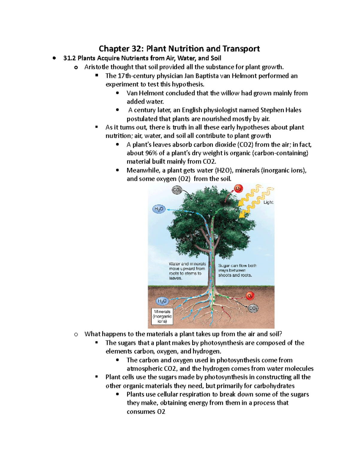 Chapter 32 Plant Nutrition and Transport Overview - Studocu