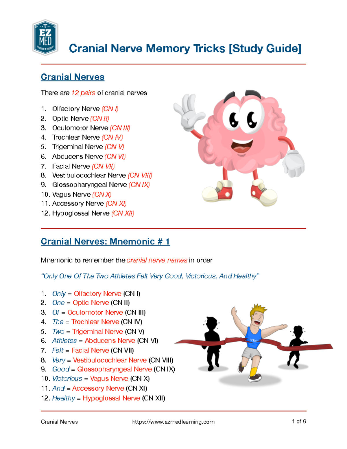 Cranial Nerve Mnemonics and Memory Tricks [Study Guide] - Studocu