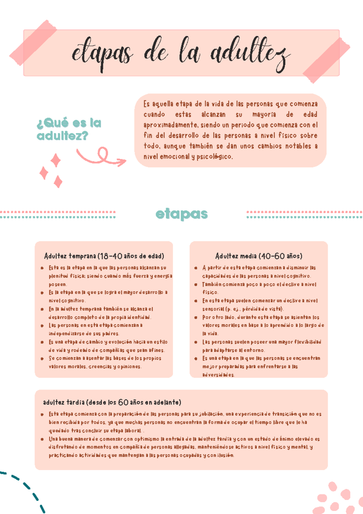 Etapas de la Adultez: Análisis y Cambios en el Ciclo Vital - Studocu