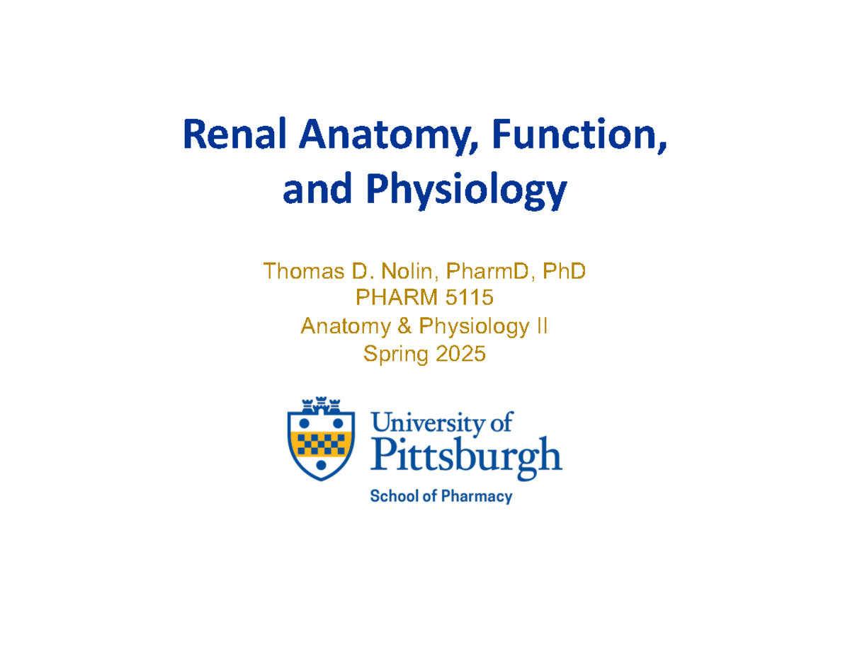 Renal Anatomy, Function, and Physiology Overview - PHARM 5115 - Renal ...