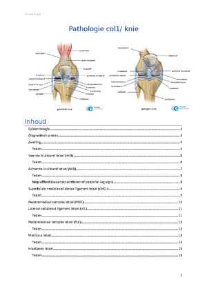TUG-form - Tug - Uitgebreide toelichting van het meetinstrument Timed ...