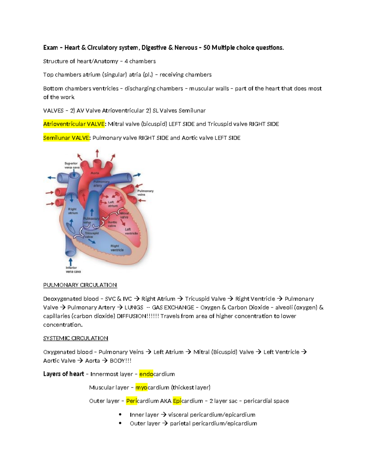 Midterm Study Guide: Heart, Circulatory, Digestive & Nervous Systems ...