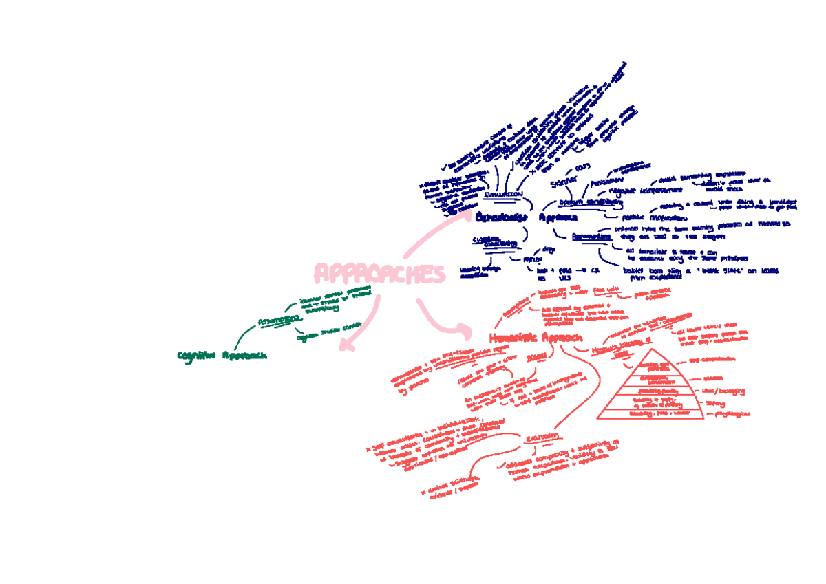 Approaches to learning: Cognitive and behaviorist perspectives in ...