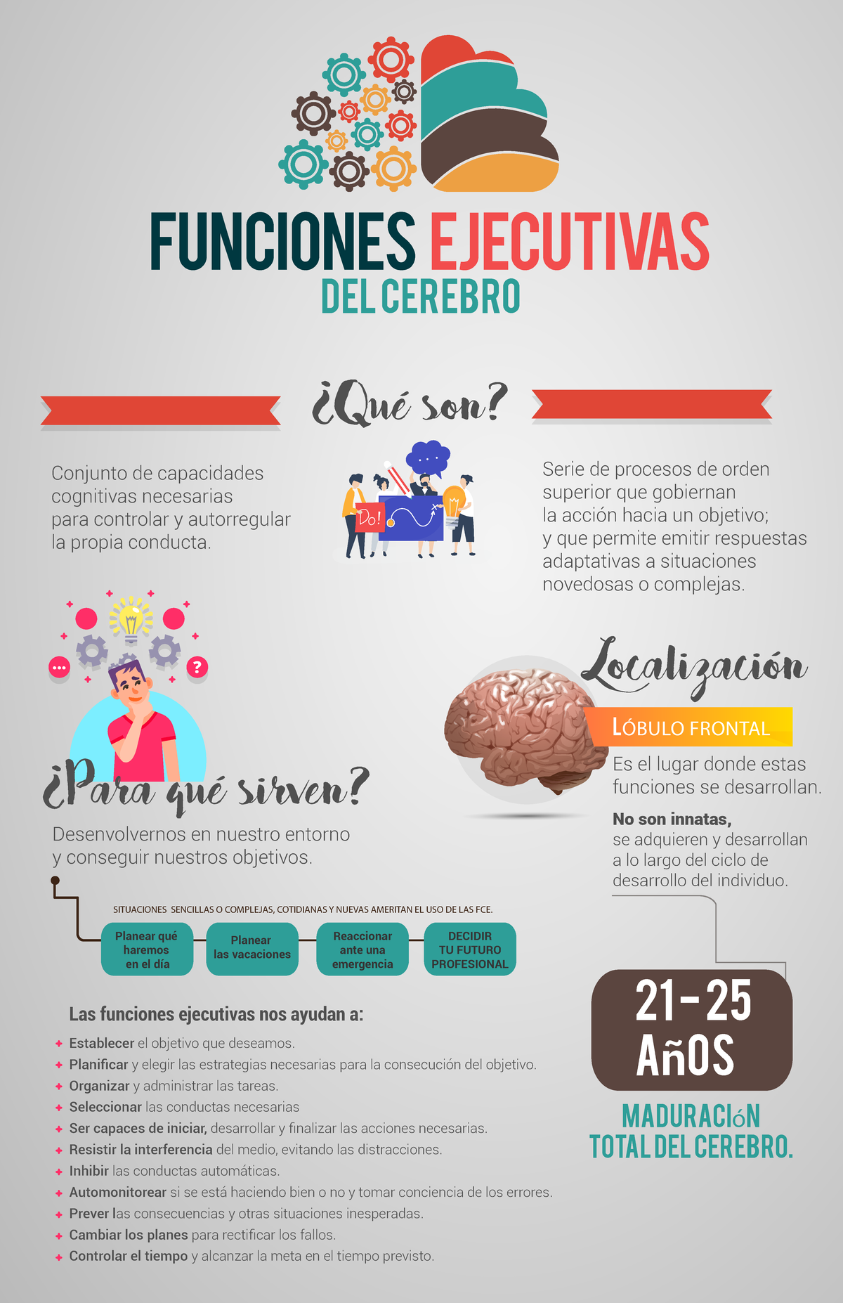 Infografia de funciones ejecutivas - ? ......? DEL CEREBRO Conjunto de capacidades cognitivas ...