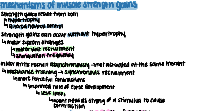 Mechanisms of Muscle Hypertrophy and Strength Training - SCI 101 Notes ...
