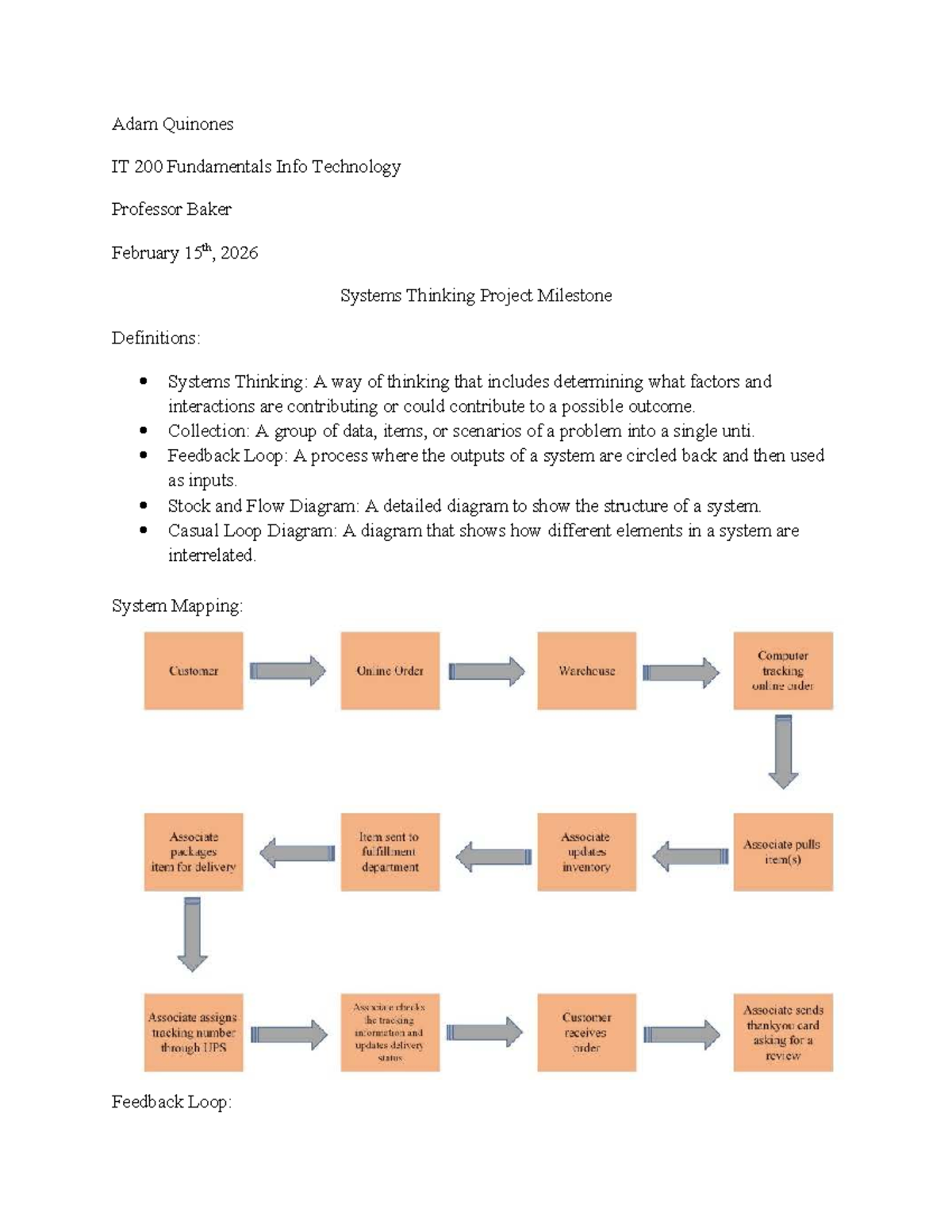 IT 200 Systems Thinking Project Milestone Definitions - Studocu