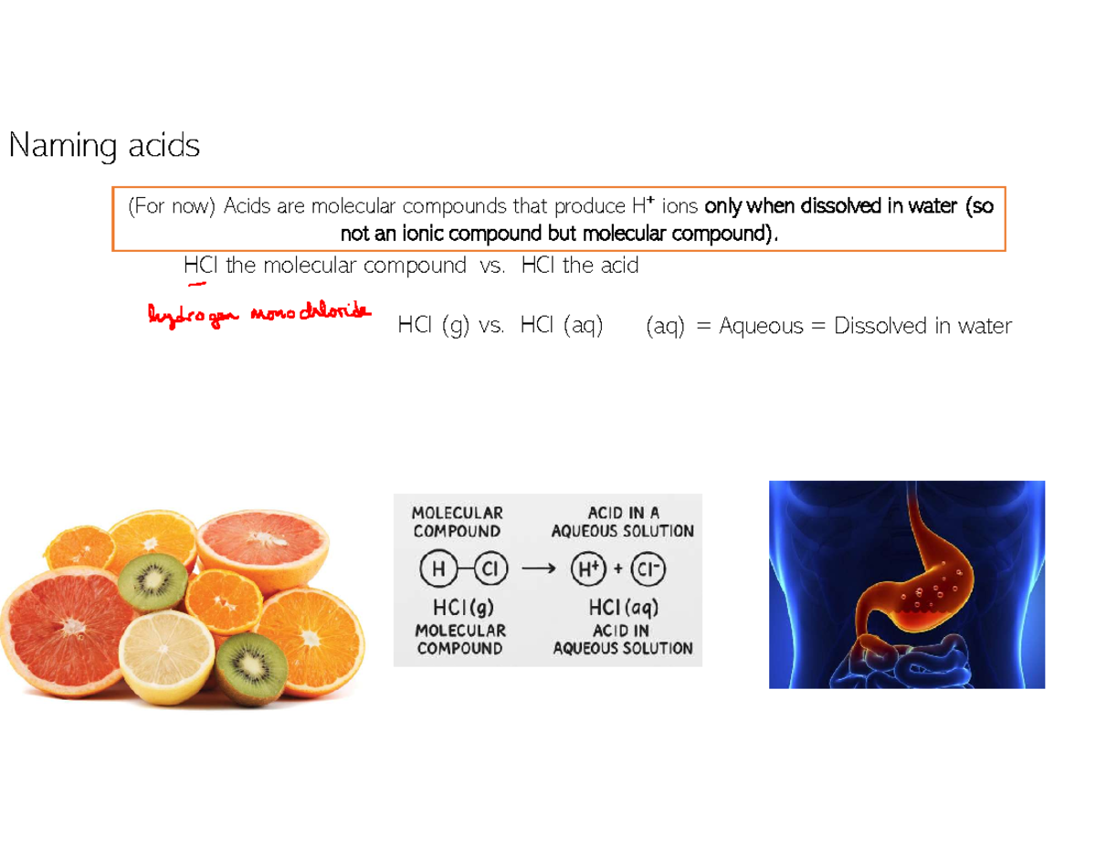 Naming Ionic & Molecular Compounds, Acids, & Molar Mass Calculations ...