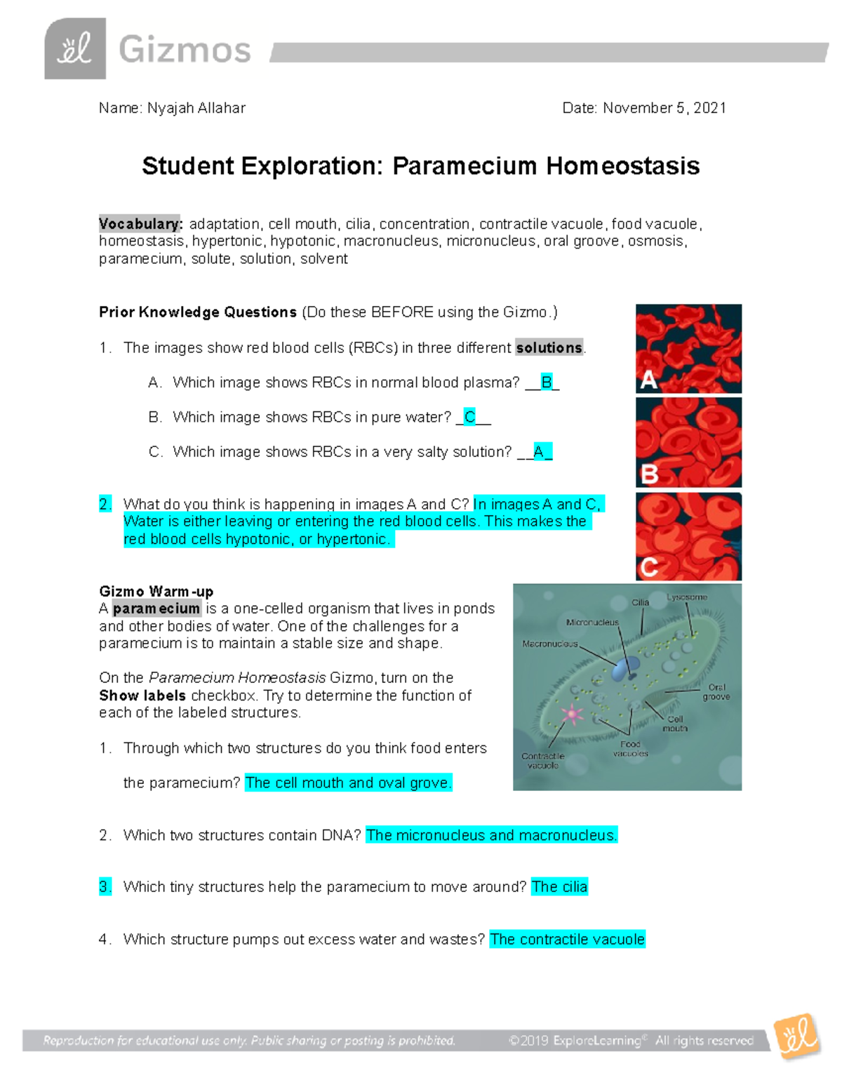 Paramecium Homeostasis student exploration worksheet - Name: Nyajah ...