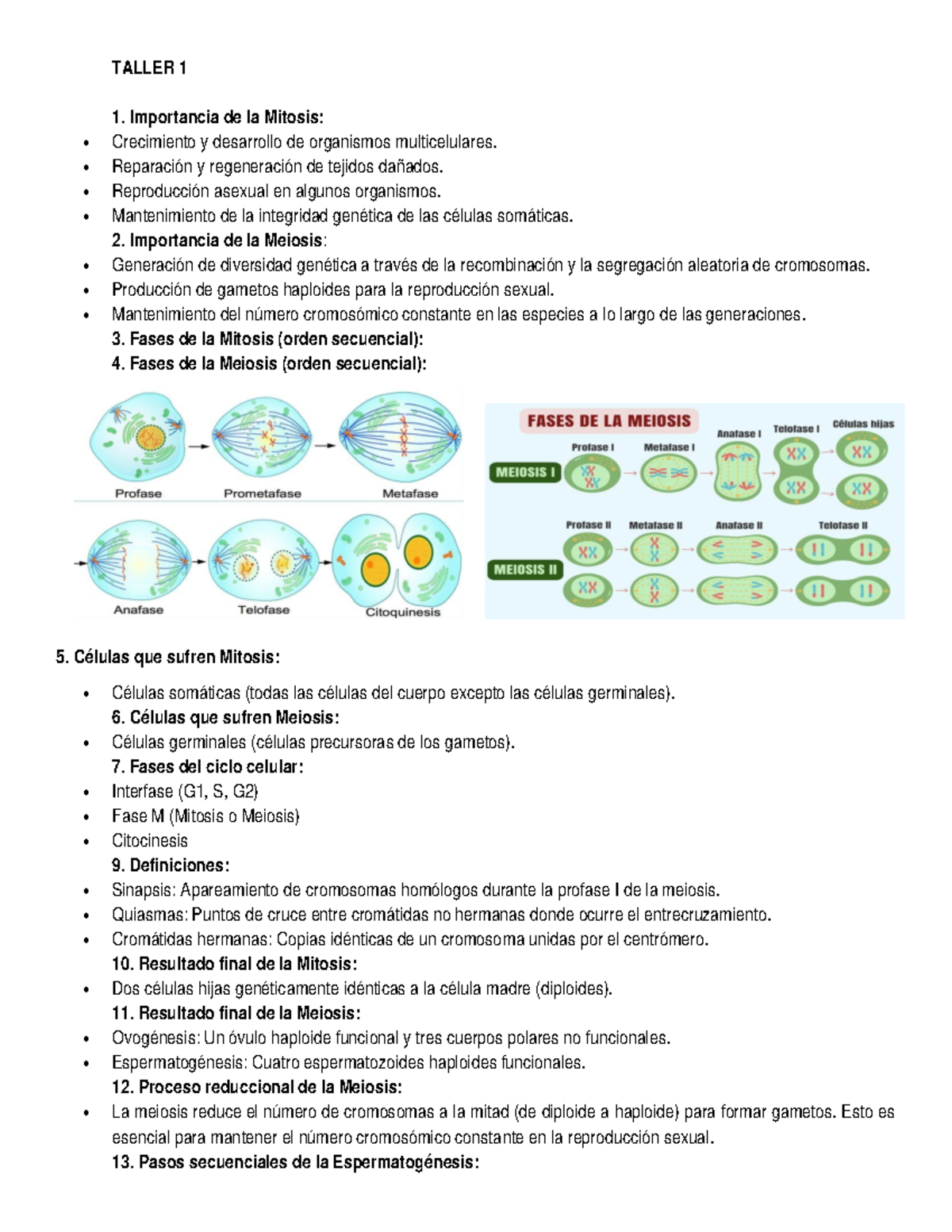Embriologia talleres - TALLER 1 1. Importancia de la Mitosis: Crecimiento y desarrollo de - Studocu