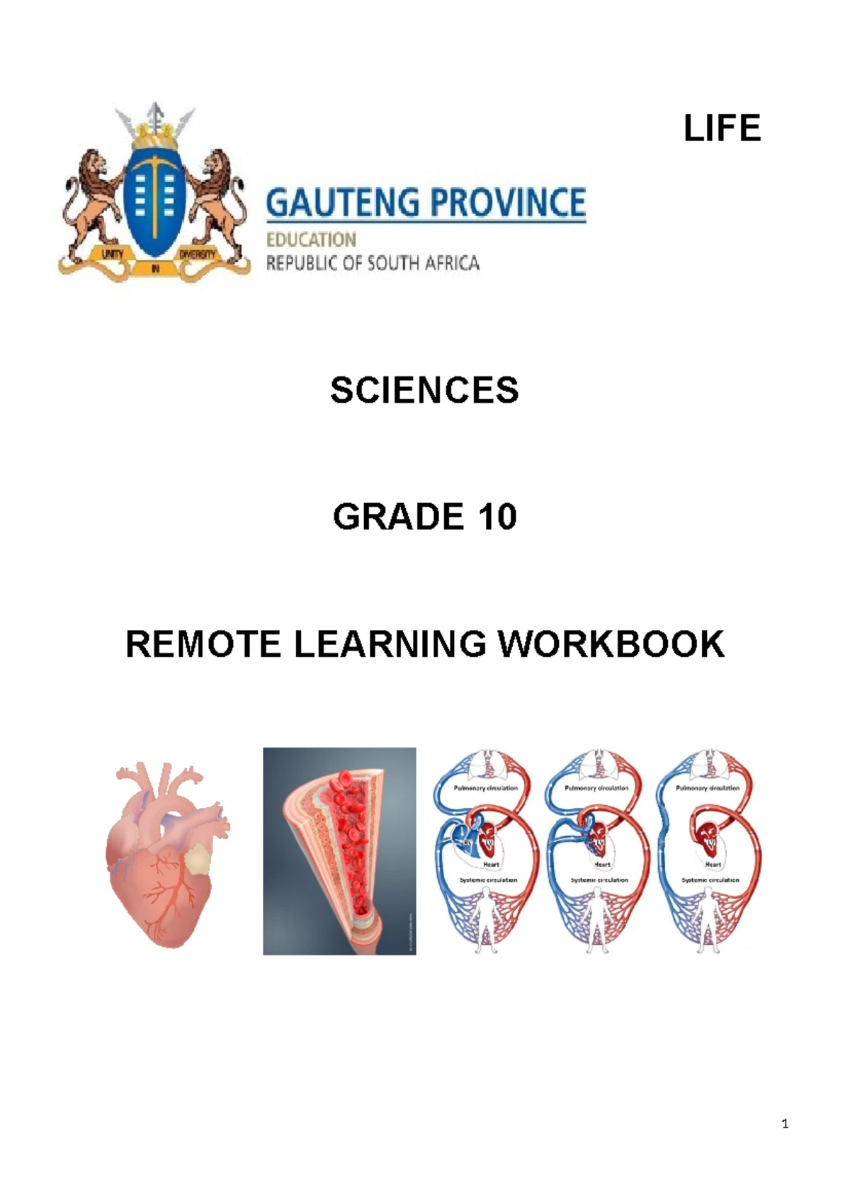 Final Exam Guidelines for Life Orientation: Grades 10-12 - Studocu