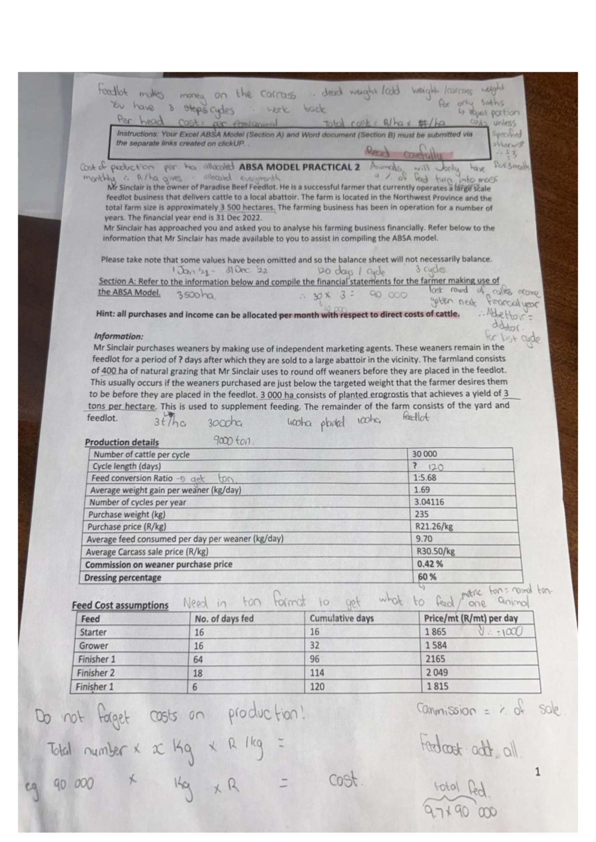 ABSA Model Practical 2: Financial Analysis of Paradise Beef Feedlot ...