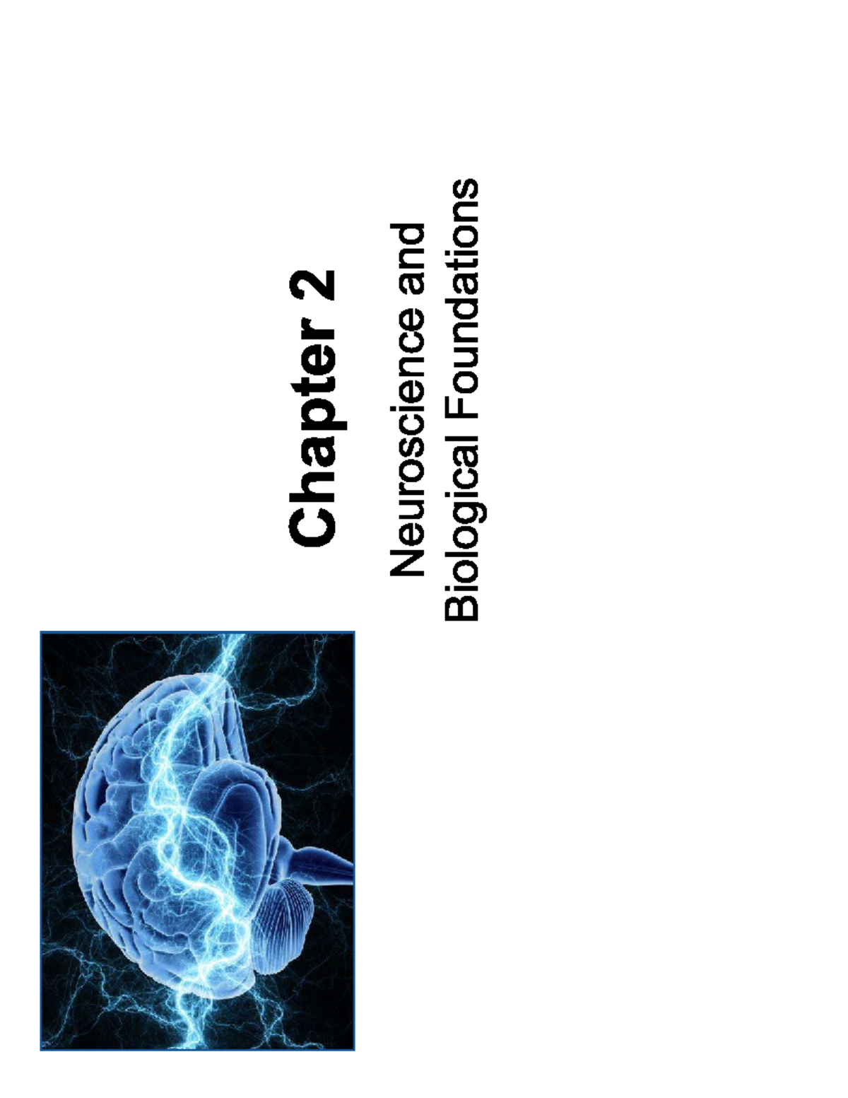 C383: Chapter 2 Summary on Neuroscience & Biological Foundations - Studocu