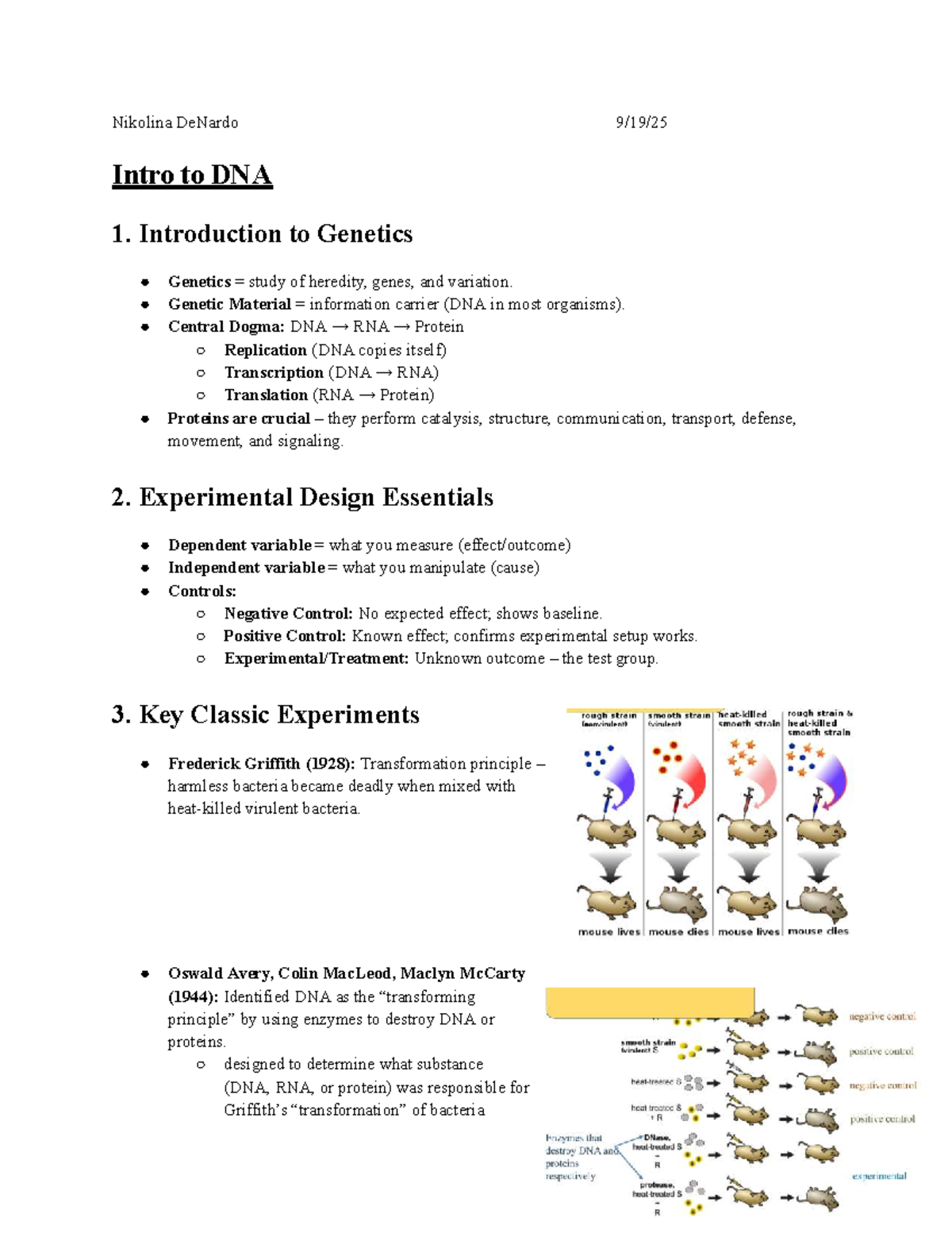 Genetic and Molecular Biology Review Notes - SCXsmJ443iD4epAyzaCNG4 ...