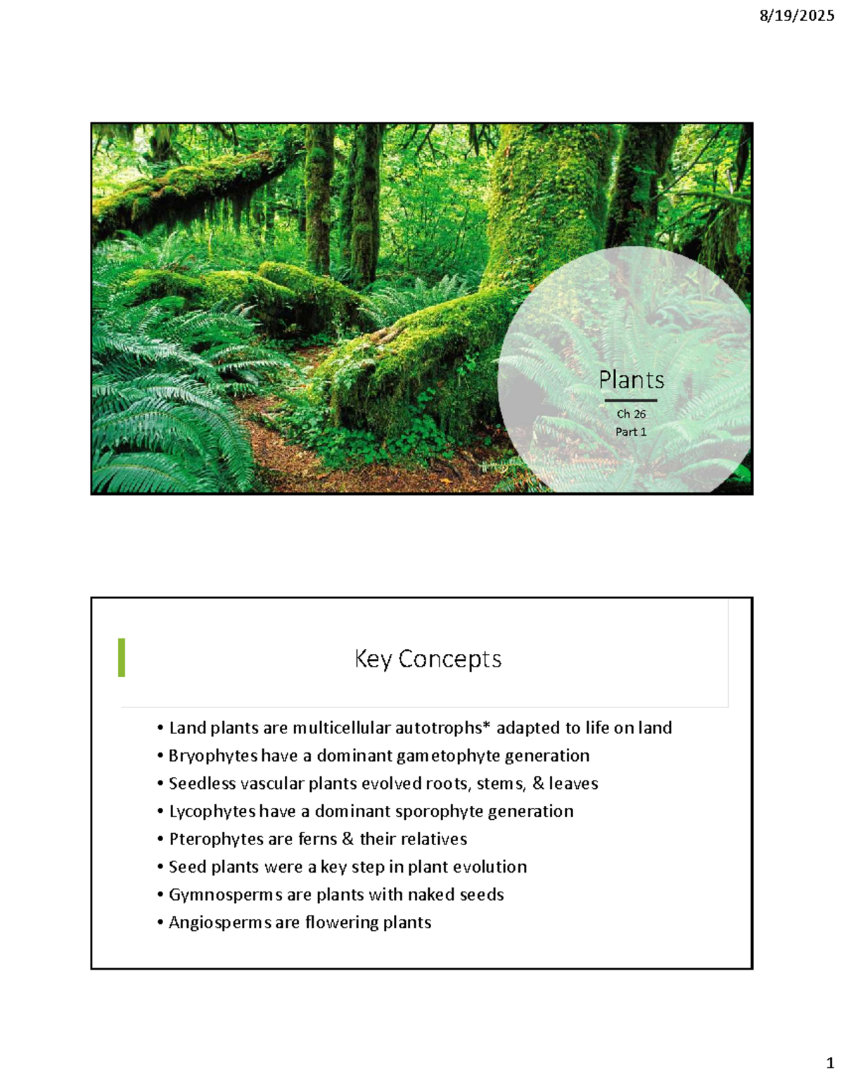 Plants: Evolution from Freshwater Algae to Land Adaptations (Bio 101 ...