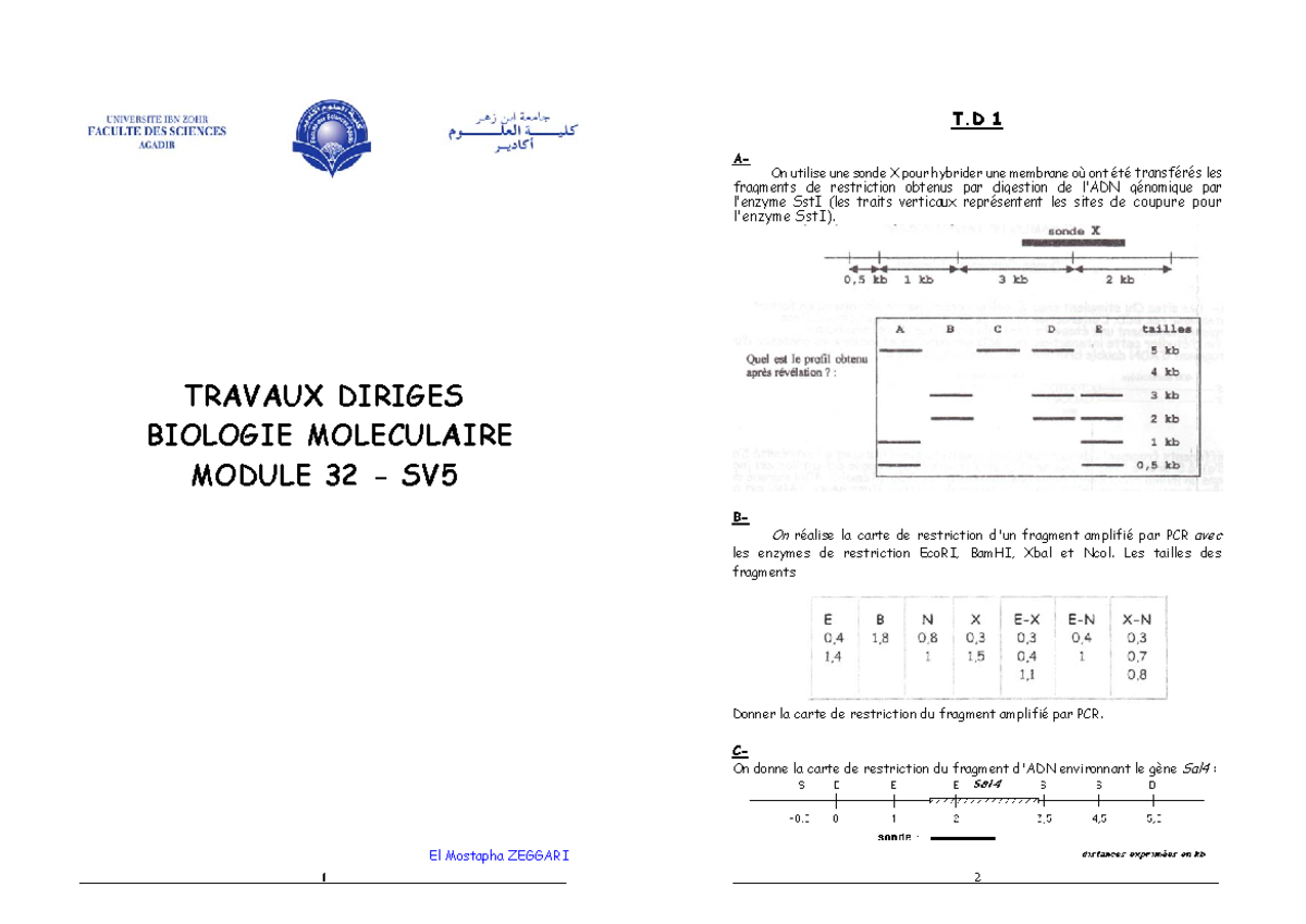 TD Biologie Moléculaire SVI5 2019 2020 - TRAVAUX DIRIGES BIOLOGIE MOLECULAIRE MODULE 32 - SV El ...