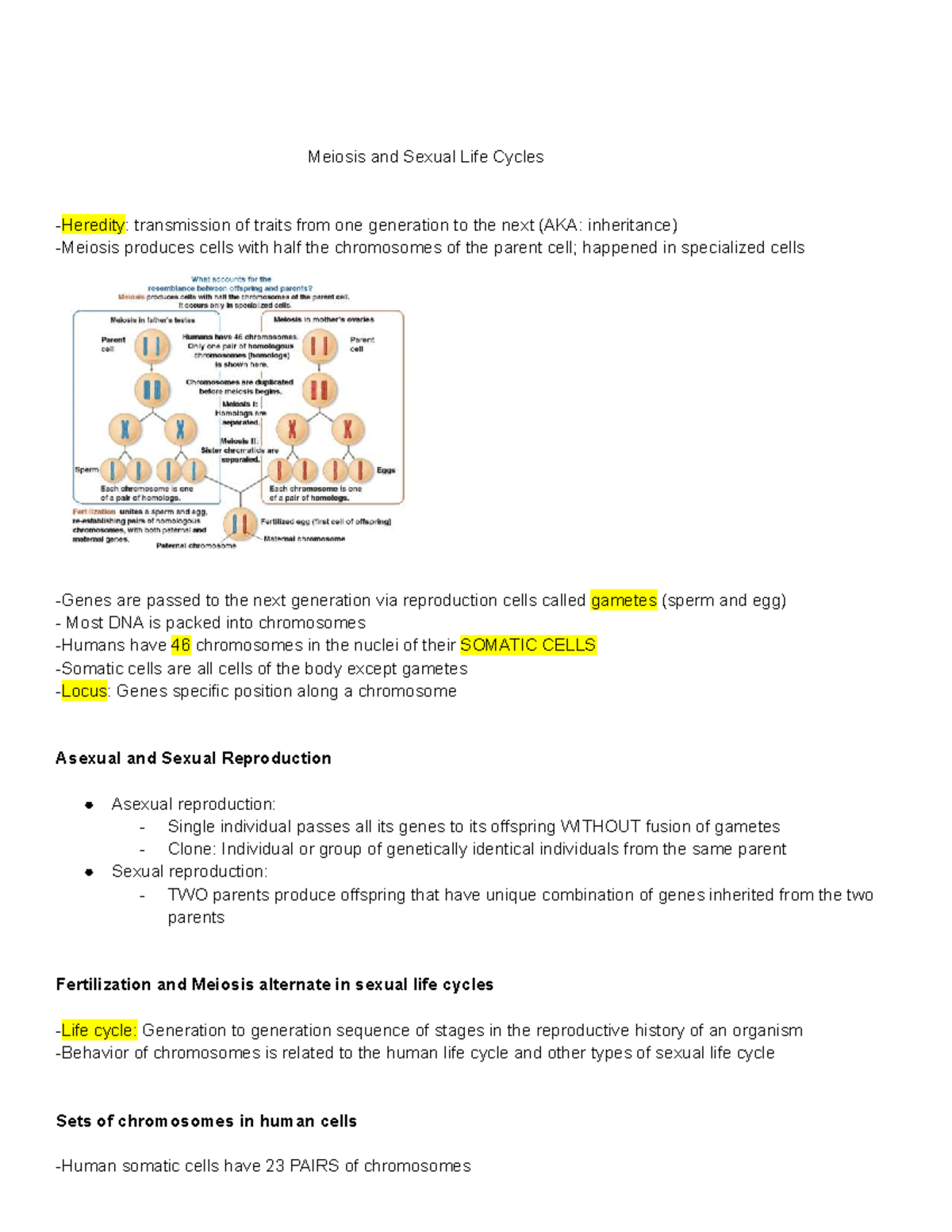 Chapter 13 Notes - Meiosis and Sexual Life Cycles -Heredity ...