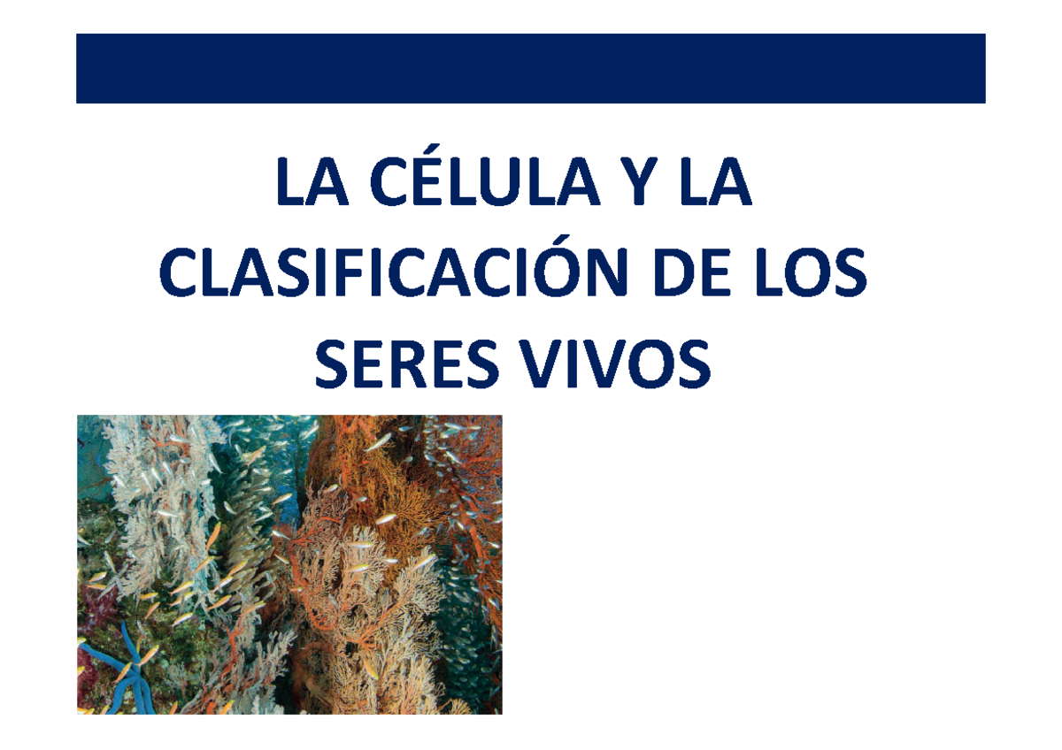 La celula biología - LA CÉLULA Y LA CLASIFICACIÓN DE LOS SERES VIVOS ...