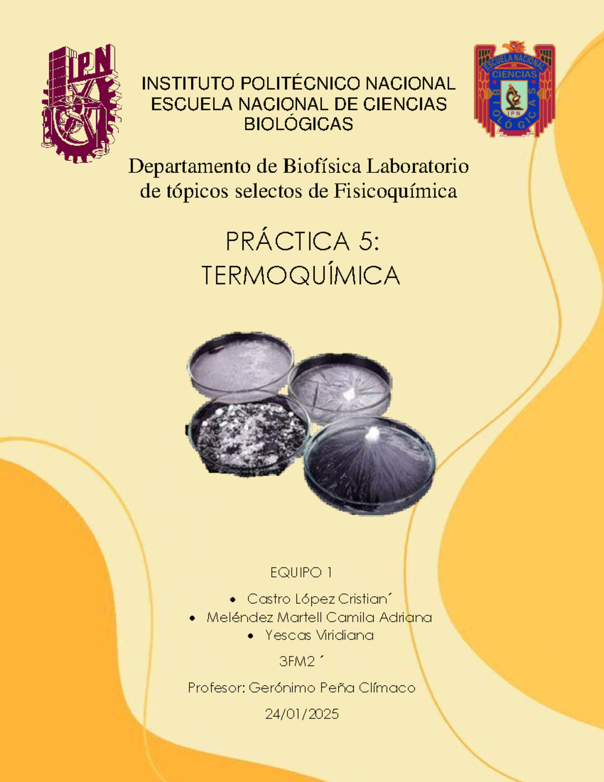 Practica Termoquimica - ¡ INSTITUTO POLITÉCNICO NACIONAL ESCUELA ...