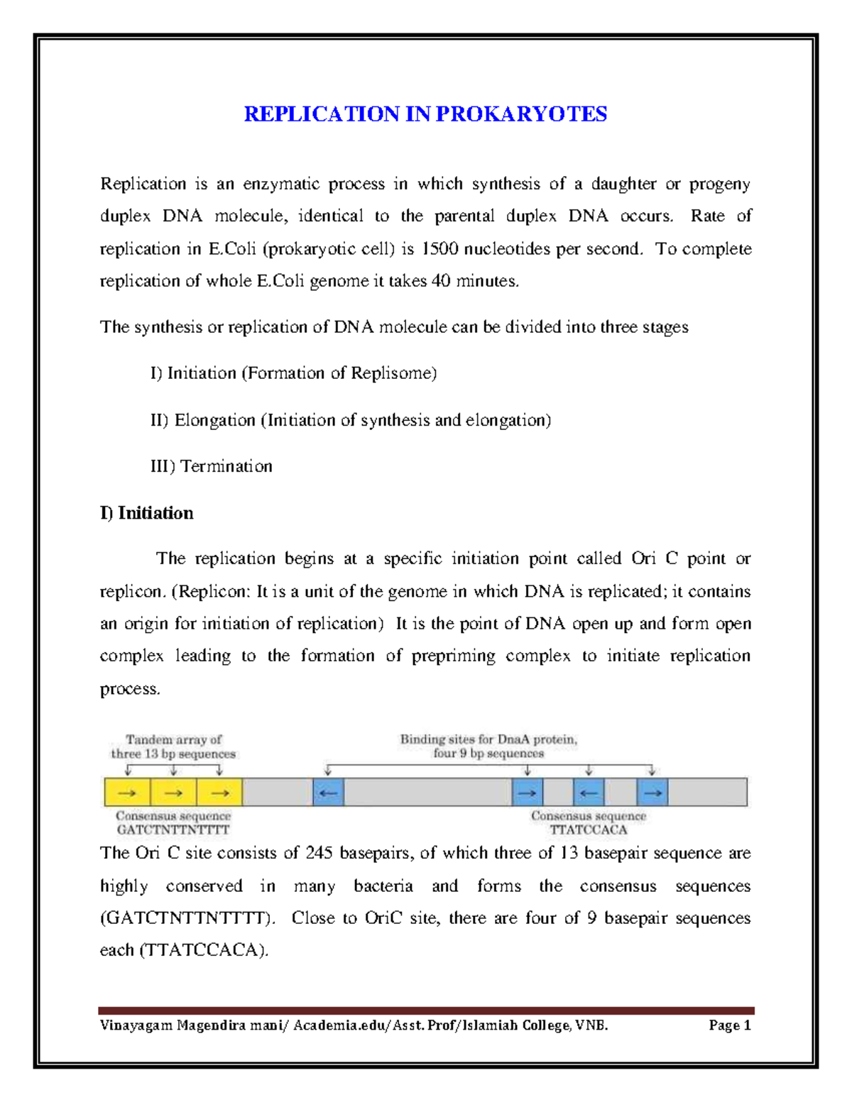 Replication in Prokaryotes: Mechanisms and Regulation (BIO 101) - Studocu