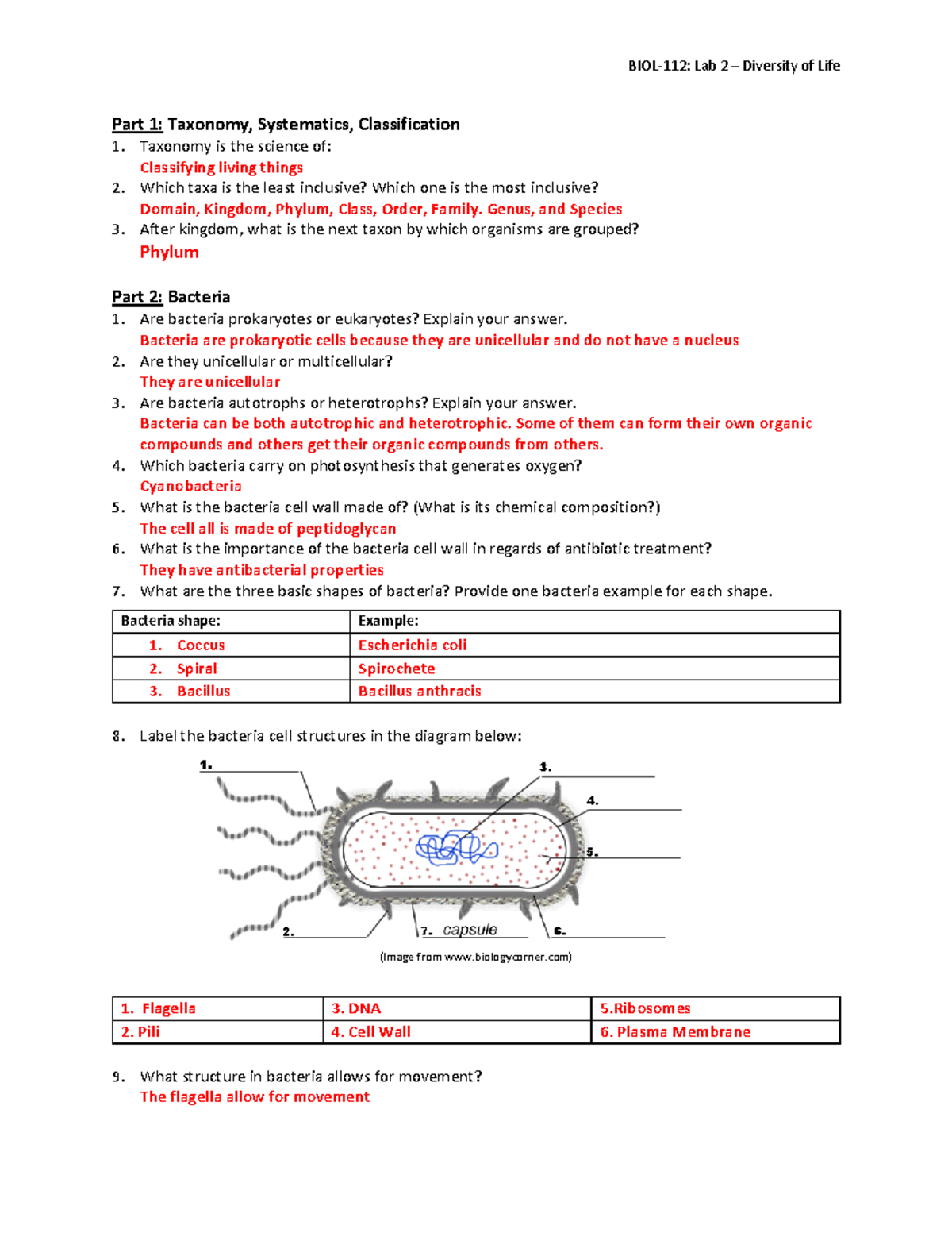 BIOL-112 Lab 2 Activity Worksheet: Exploring Diversity in Life - Studocu