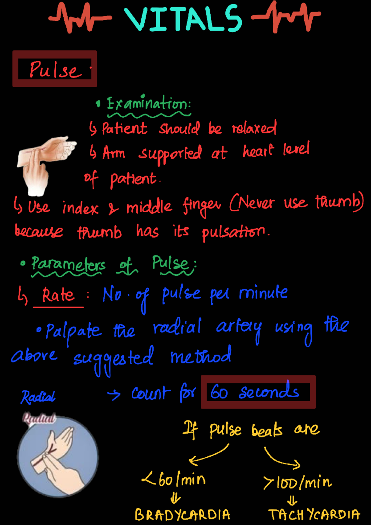 Vitals Interpretation: Pulse, BP, and Respiratory Assessment 260130 ...