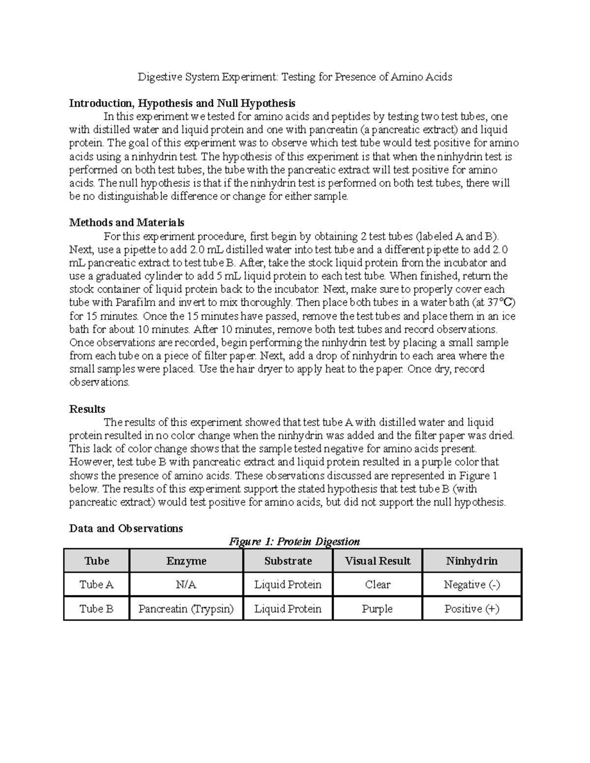 BIOL 112 Lab Digestive System Assigment - Digestive System Experiment ...