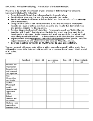 Mathematics 107 Exam 2 Review Sheet: Operations & Properties of Numbers - WESTERN NEW ENGLAND ...