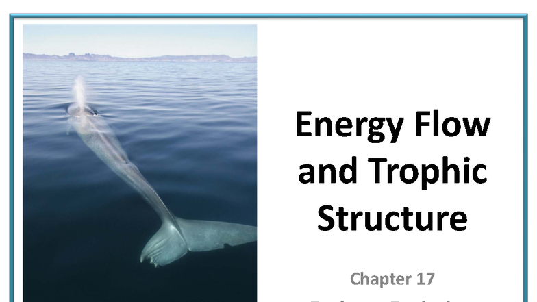 BIO 350 Chapter 17: Energy Flow & Trophic Structure in Ecosystems - Studocu