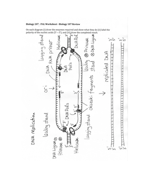Calculus III - cal 3 notes: quad surfaces - Paul's Online Notes Home ...