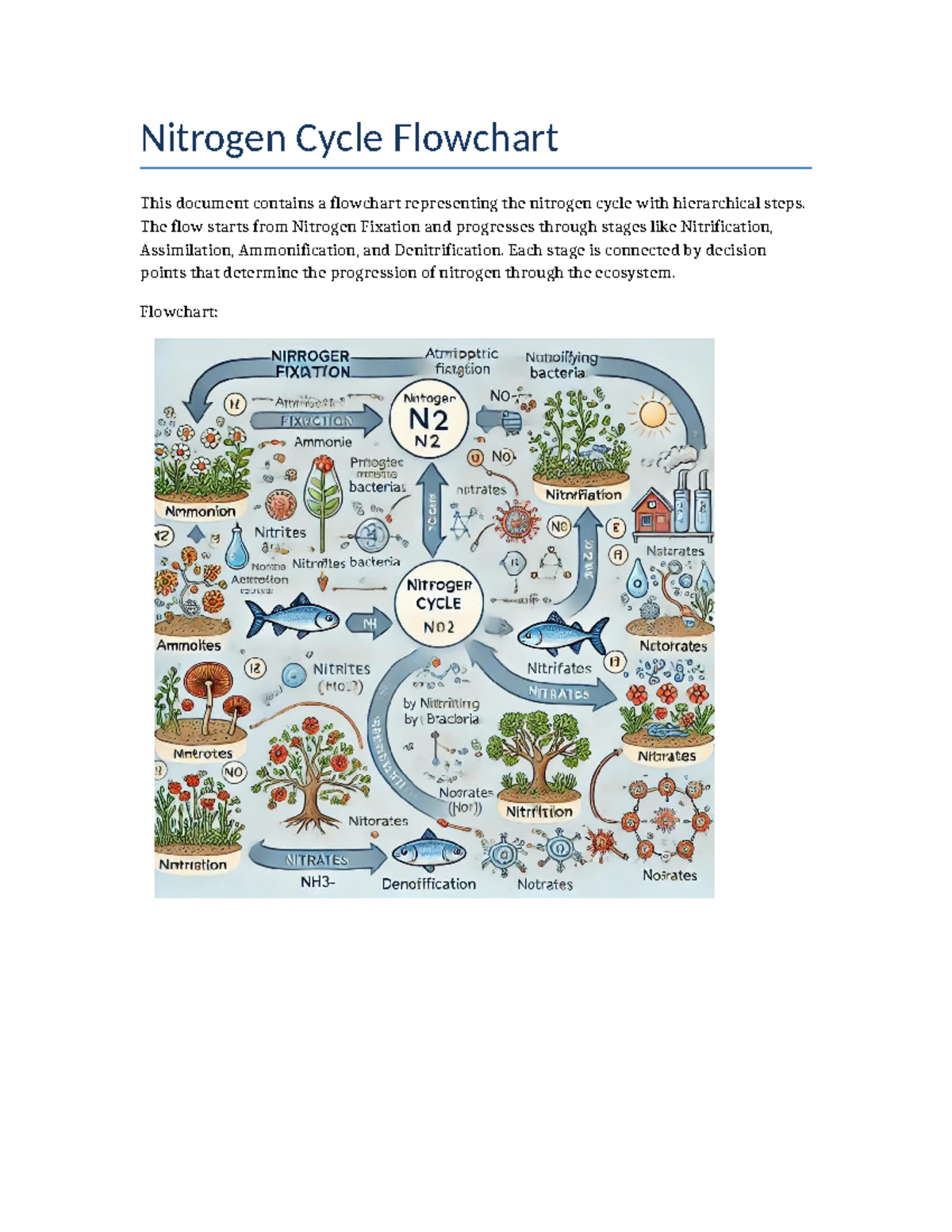 Nitrogen Cycle Flowchart - Quimica organica - The flow starts from ...