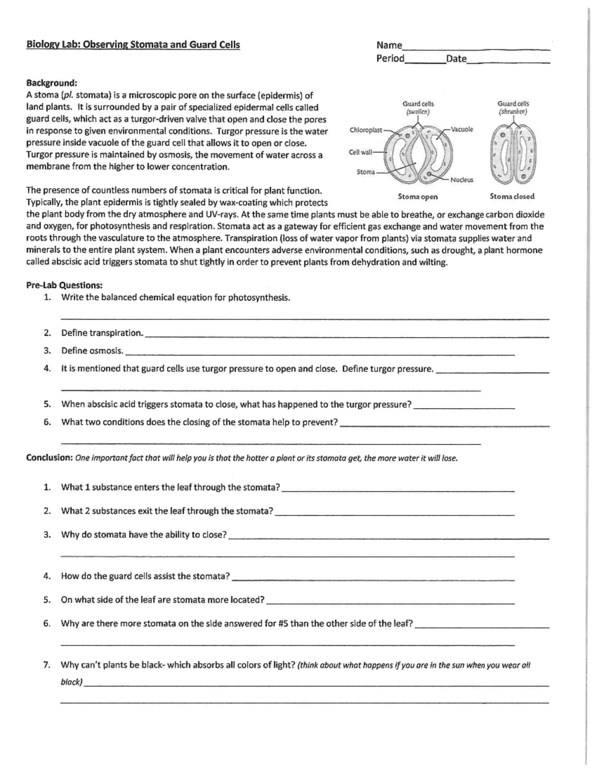 Stomata-Microscope-Activity - Biology Lab: Observing Stomata and Guard ...