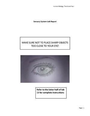 Human Biology Fetal Development Lab - Studocu