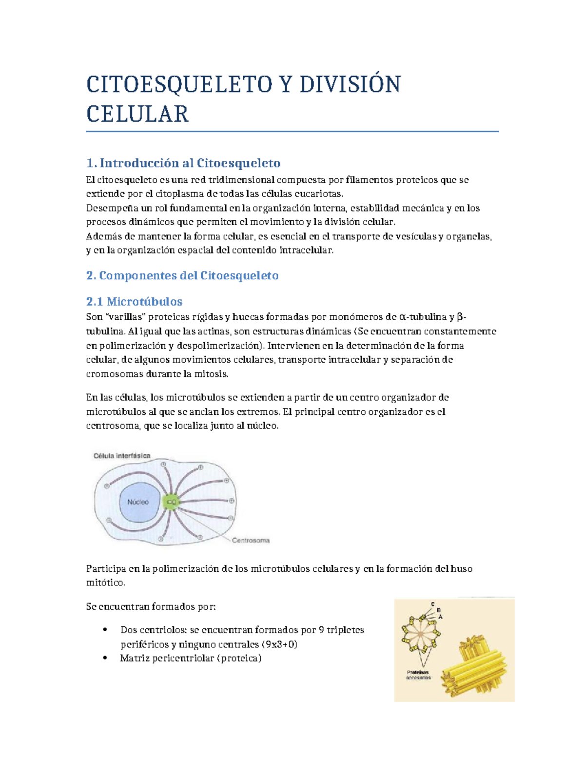 CITOESQUELETO Y DIVISIÓN CELULAR: Estructura y Funciones Esenciales ...