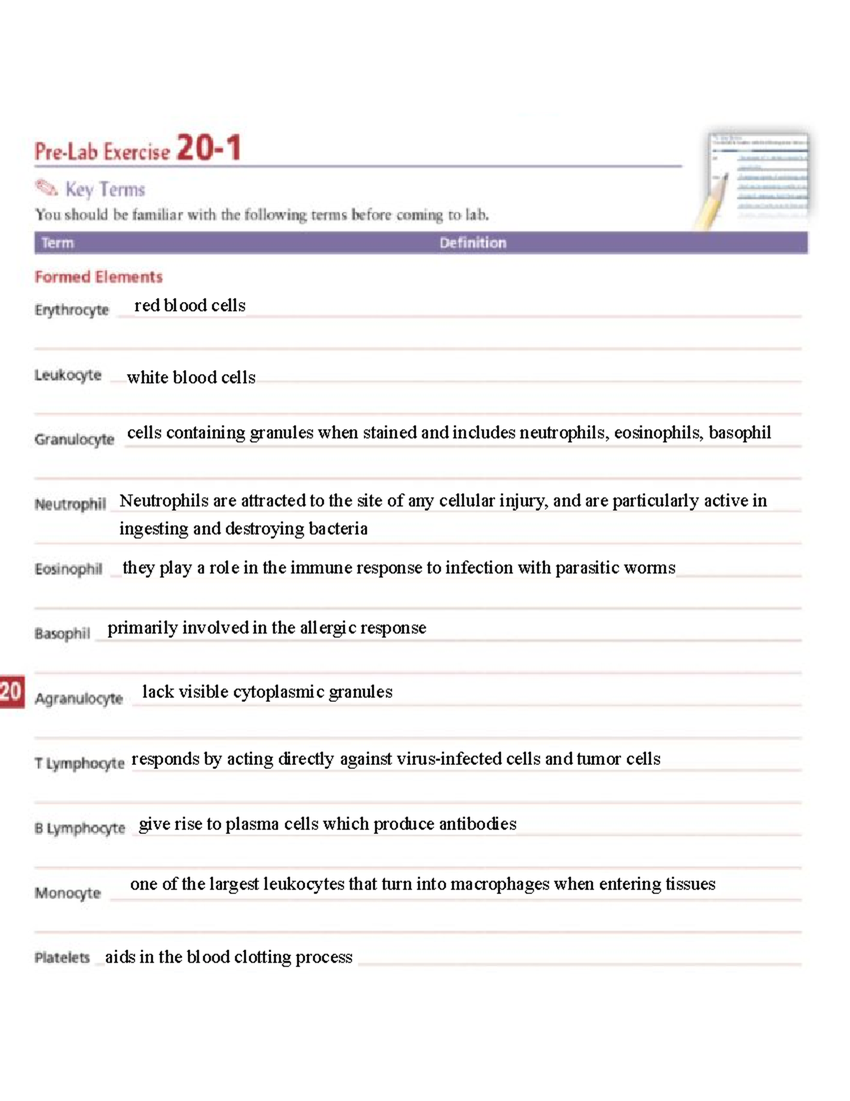 Unit 20: blood lab 20 - BIOL 2402 - Studocu