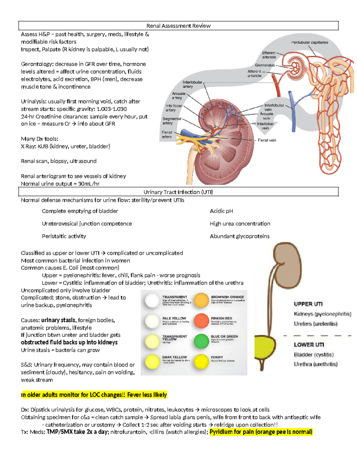 7215 Med Surg Exam 3: Comprehensive Renal Assessment Study Guide - Studocu