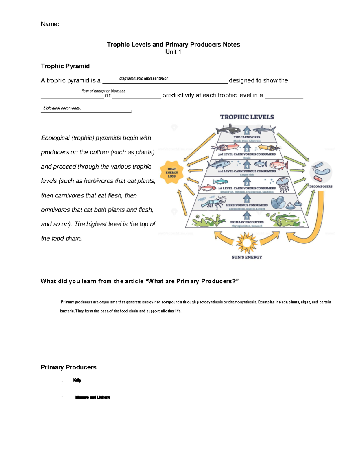 BIO 101 - Trophic Levels & Primary Producers Notes Handout - Studocu