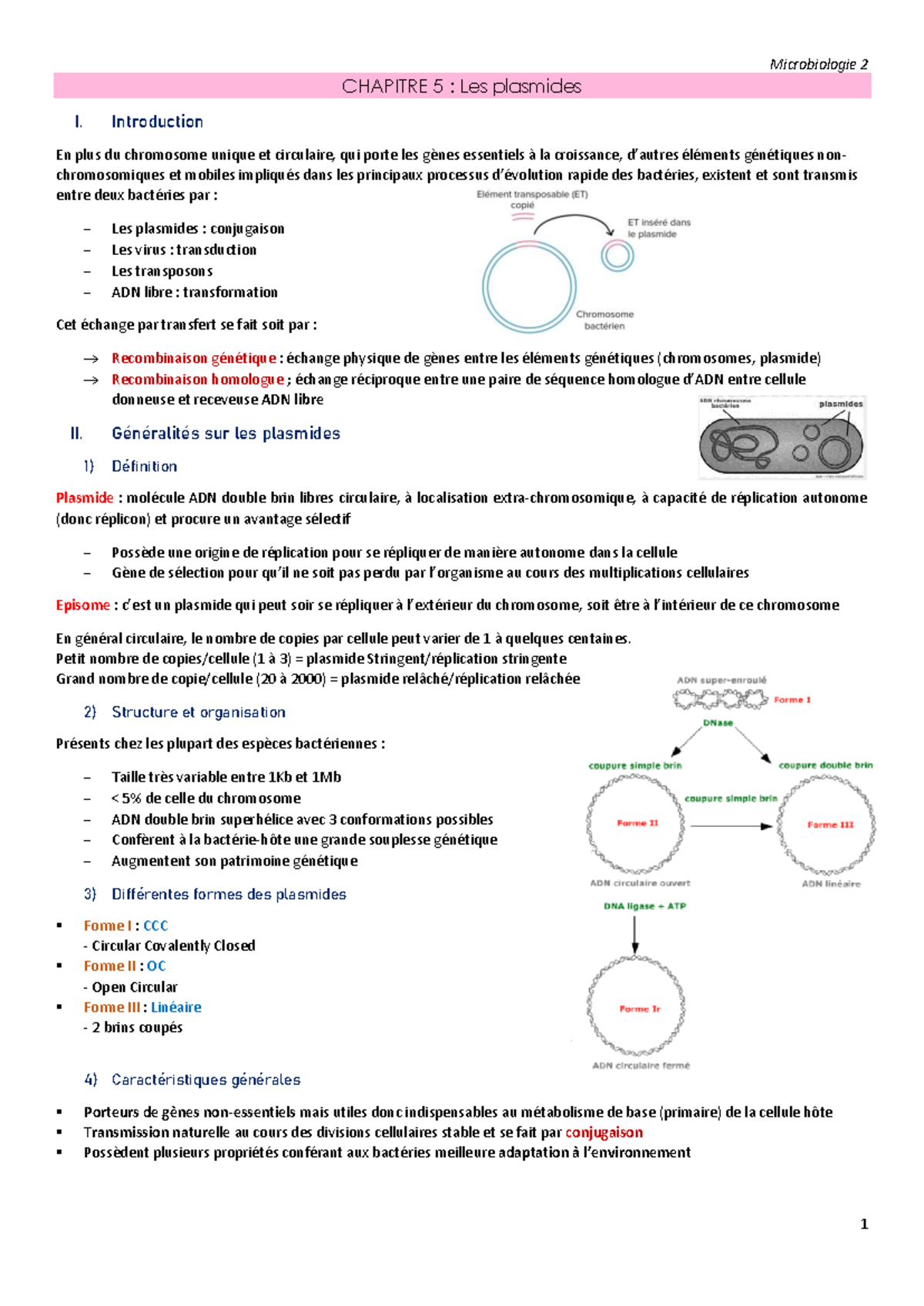 Chapitre 5 - Les Plasmides : Caractéristiques et Propriétés ...