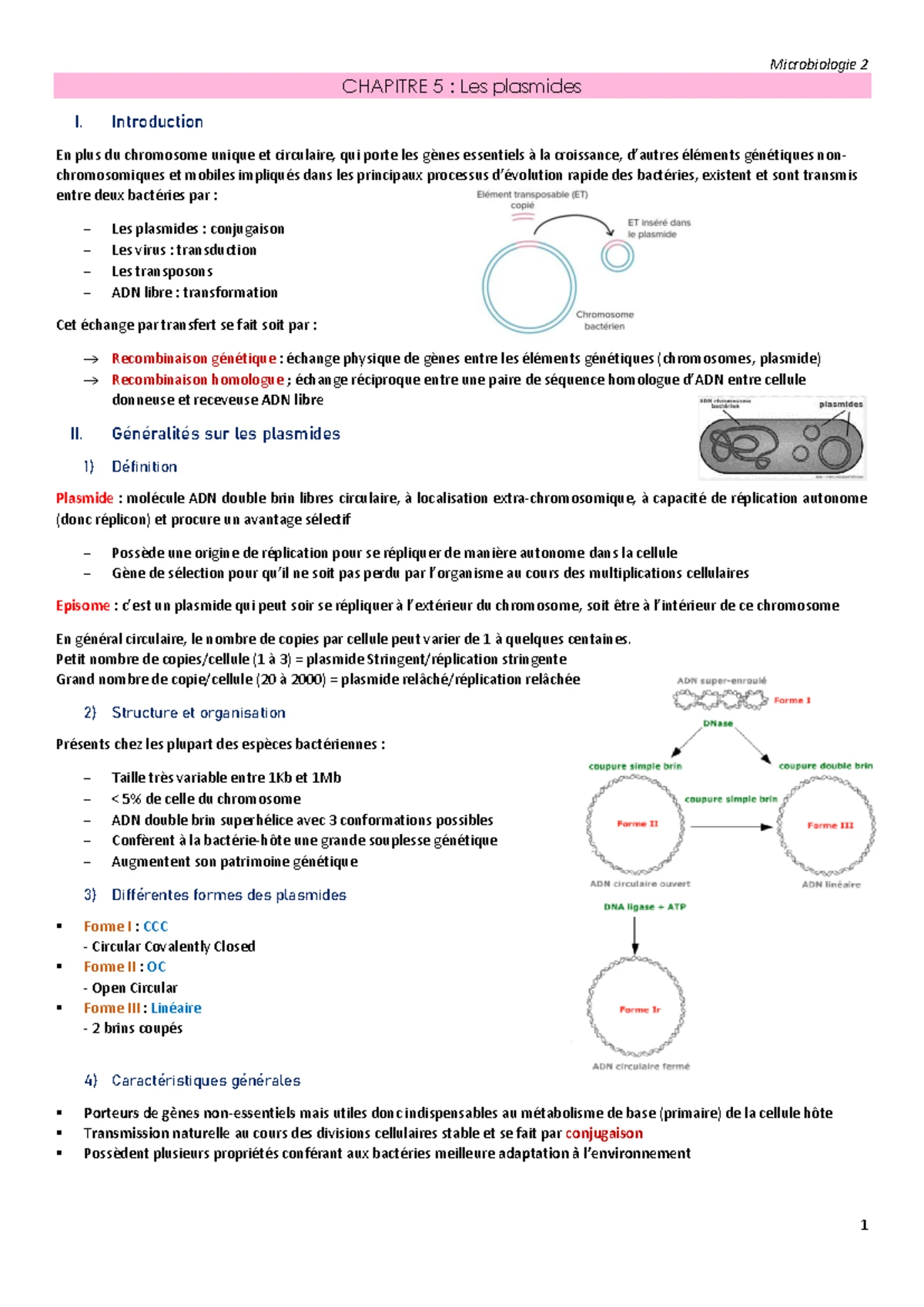 Chapitre 3 - Transfert génétique - CHAPITRE 3 : Transfert génétique ...