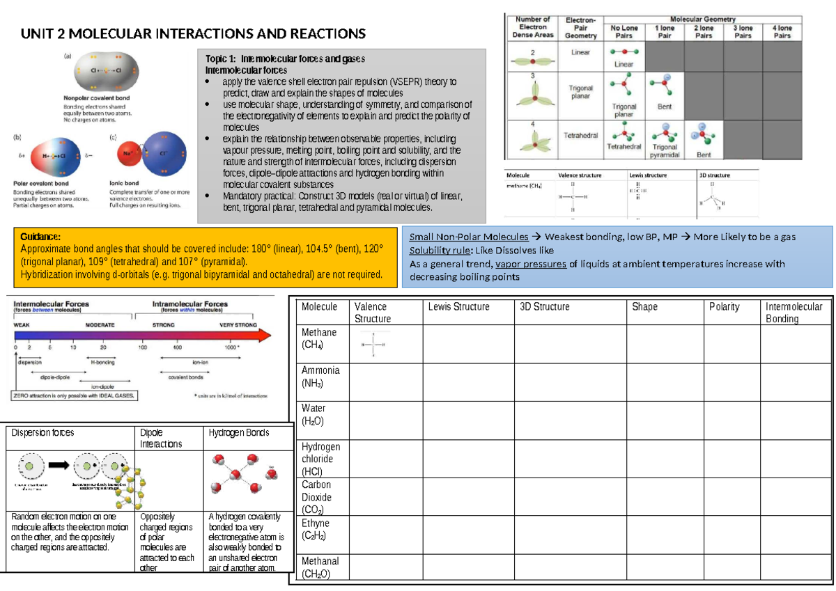 Unit 2: Molecular Interactions & Reactions - BEAS Graphic Organizer ...